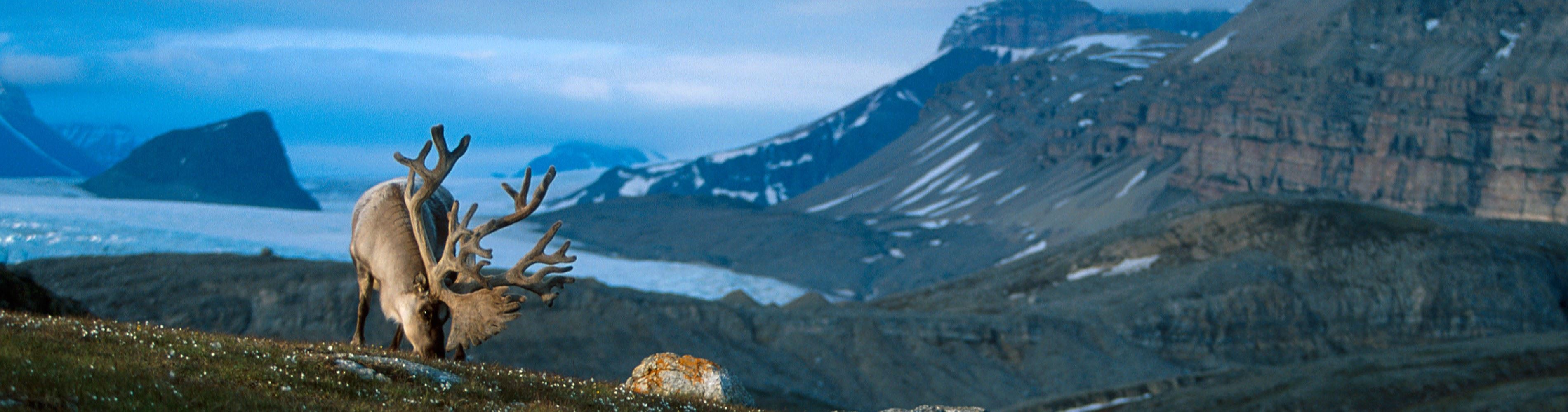 Autumn in the Arctic - An activity and gastronomic break | Sunvil.co.uk